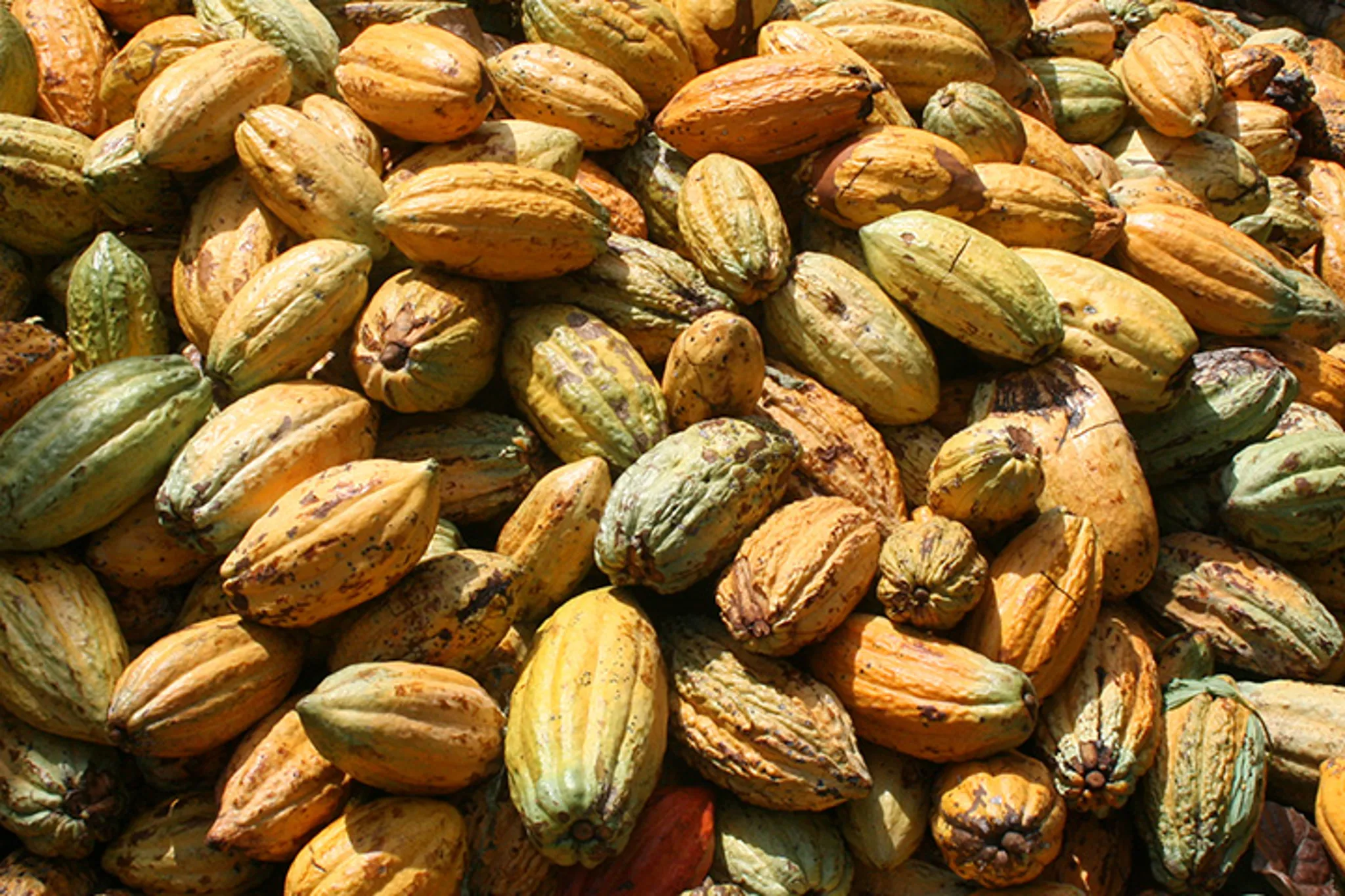 Child labour Monitoring and Remediation (CLMRS) in Fazer’s cocoa ...